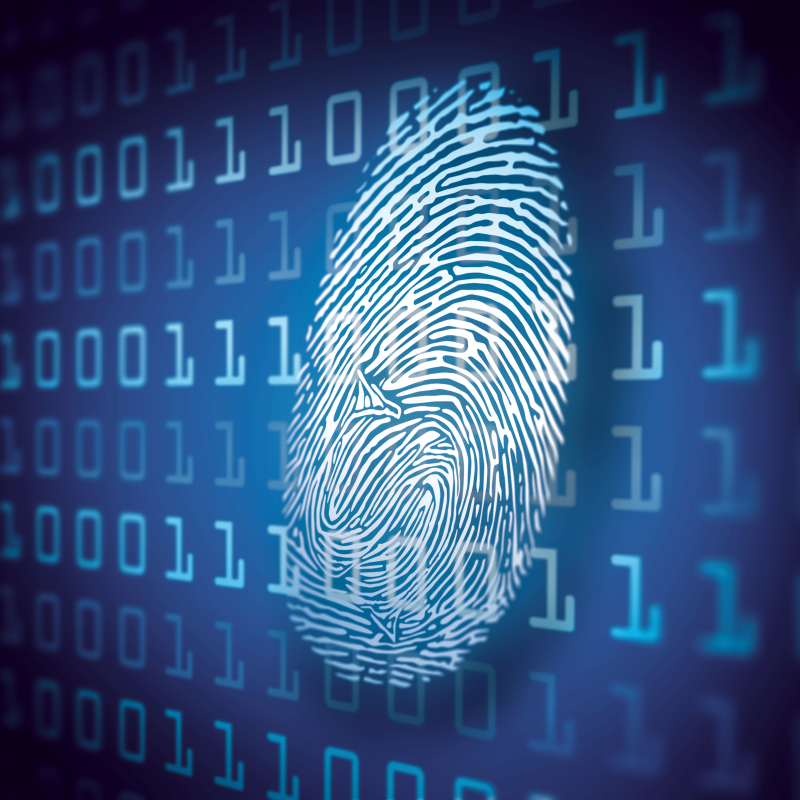 Schellenberg Druck AG